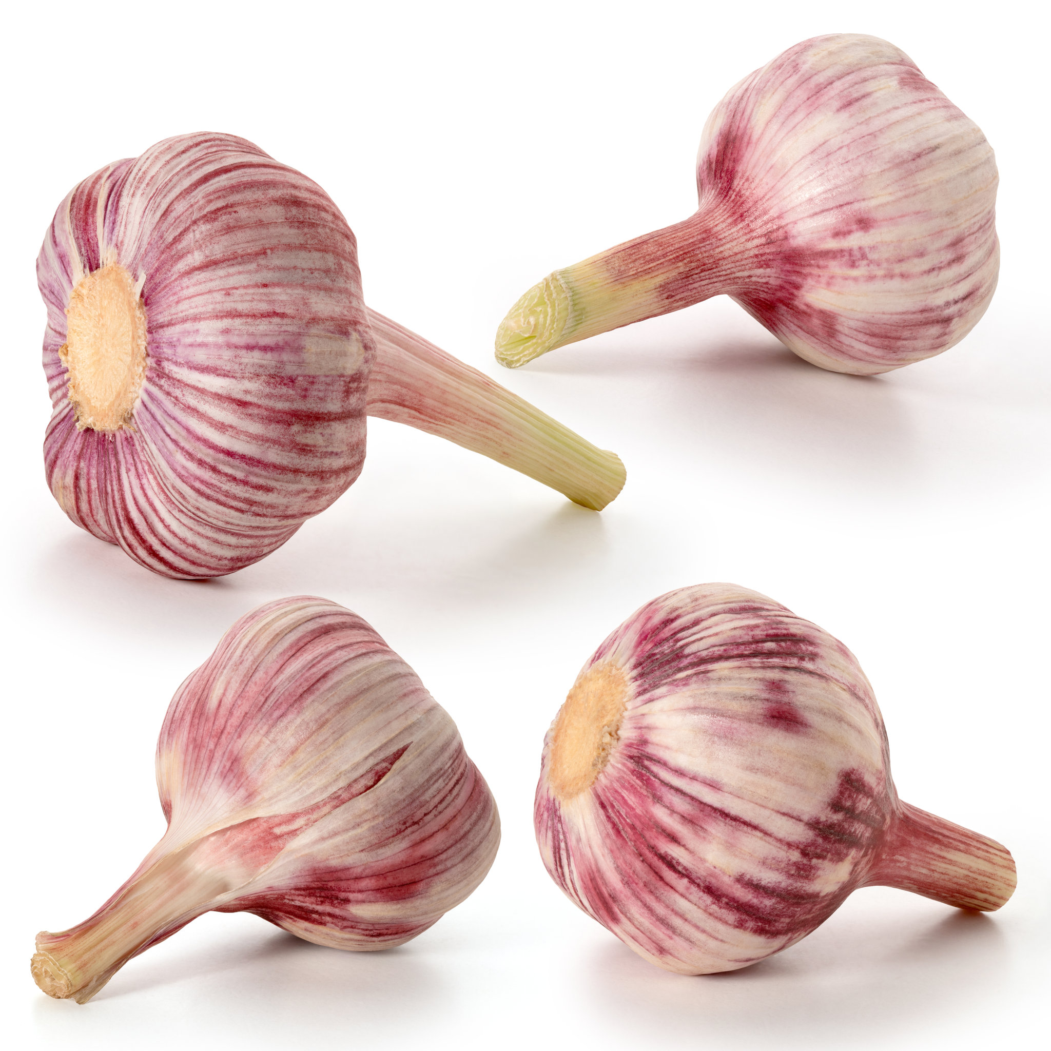 Garlic | Wrap It Up by John Peppin, D.O.