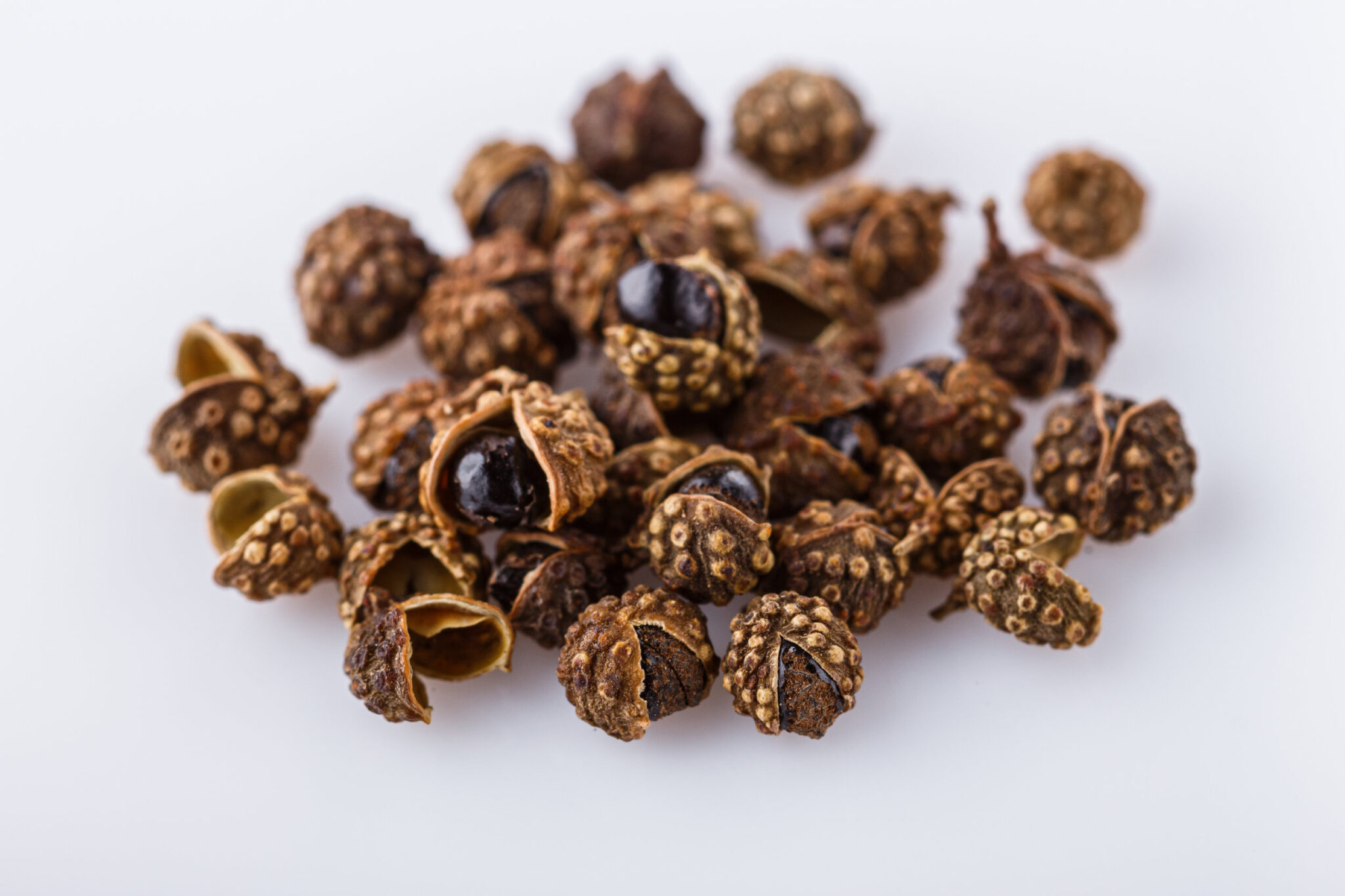 How to Prepare and grind Sichuan Peppercorns | Wrap It Up by John ...